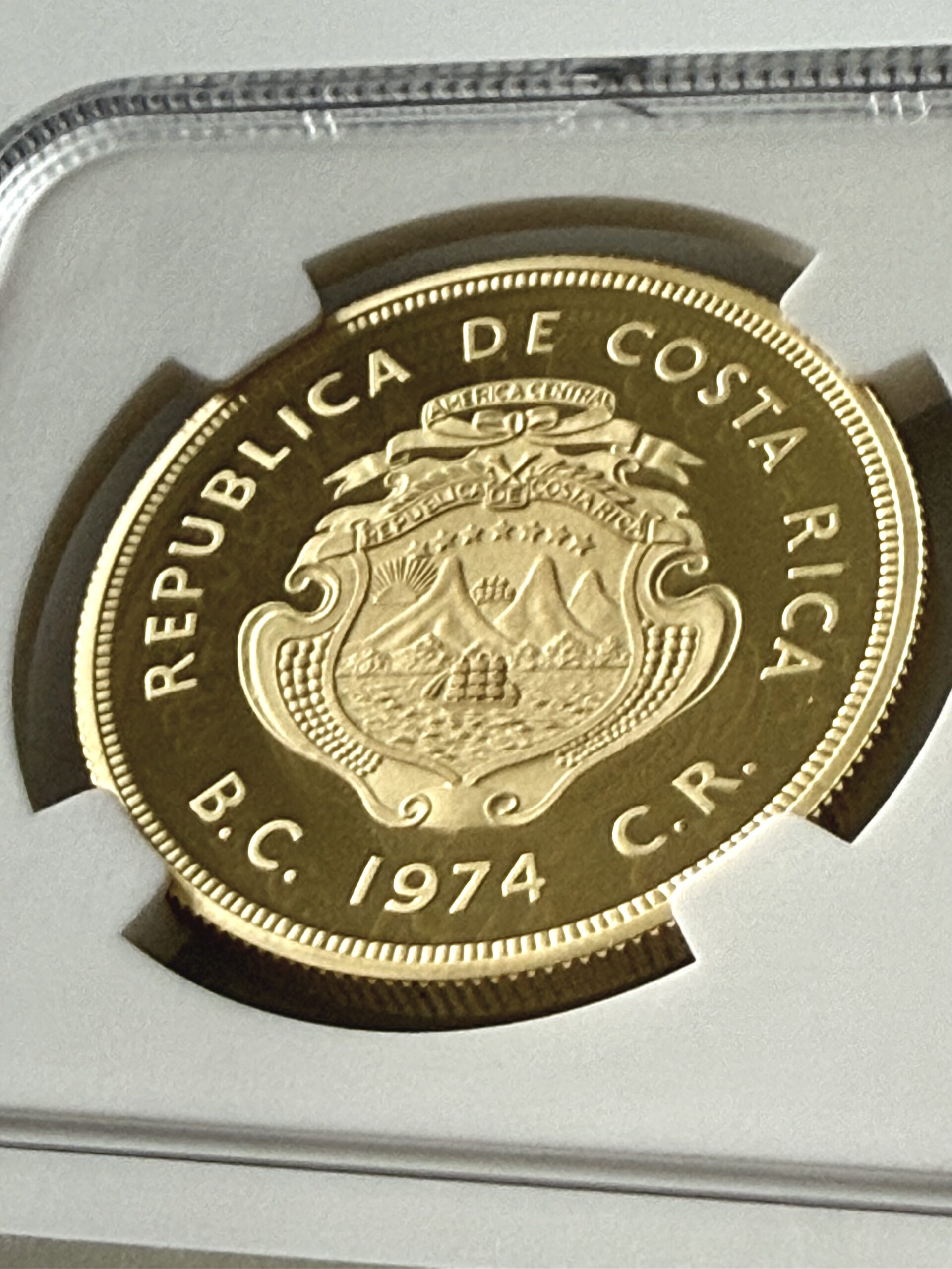 Costa Rica - Giant Anteater