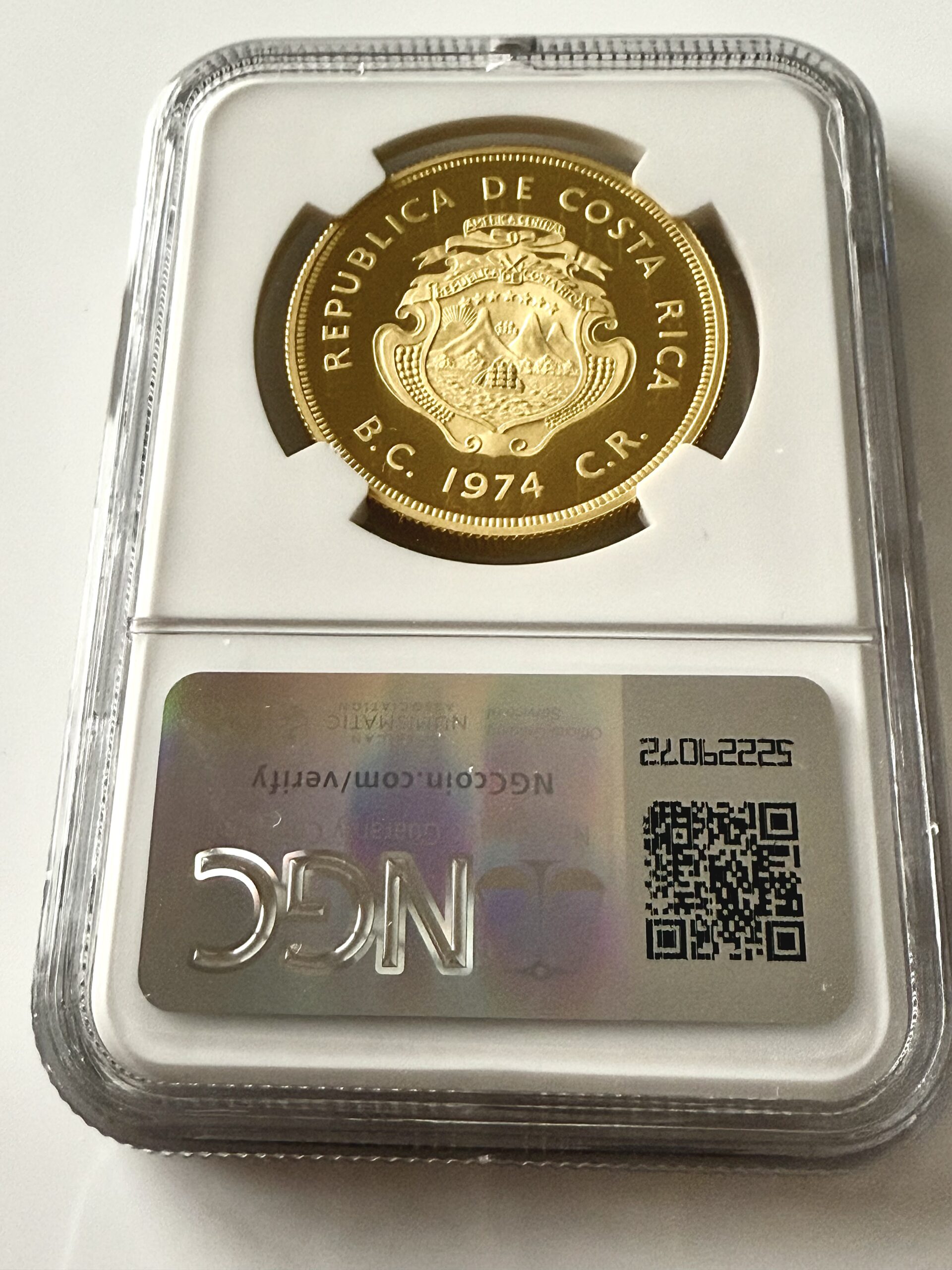 Costa Rica - Großer Ameisenbär