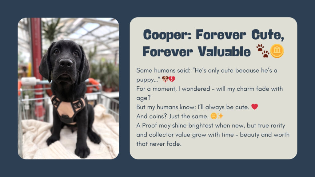 Estabilidad del valor de las monedas: Cooper lo explica