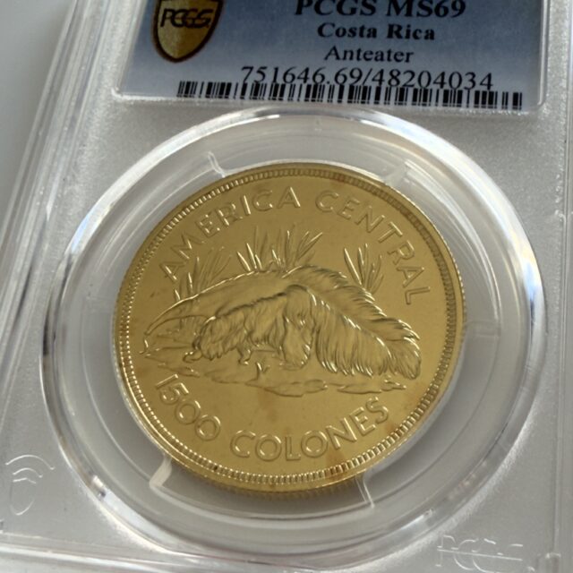 Guide to Gold Coin Sizes - Which is the Most Popular? - RareCoin